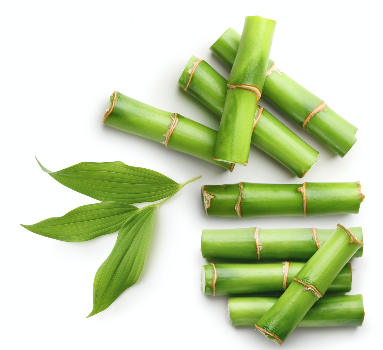 Why Stem Cells work for the skin - Tiffany Andersen